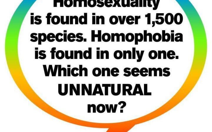 Homophobia: A growing threat to peace in the Caribbean | The Bajan Reporter