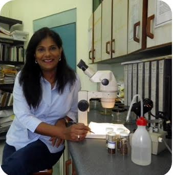 UWI Scientist Braves Underwater volcano Kick’Em Jenny - Dr Goes On 6 ...