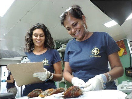 Exciting Discovery of Deep-sea Seeps off the East Coast of Trinidad and ...