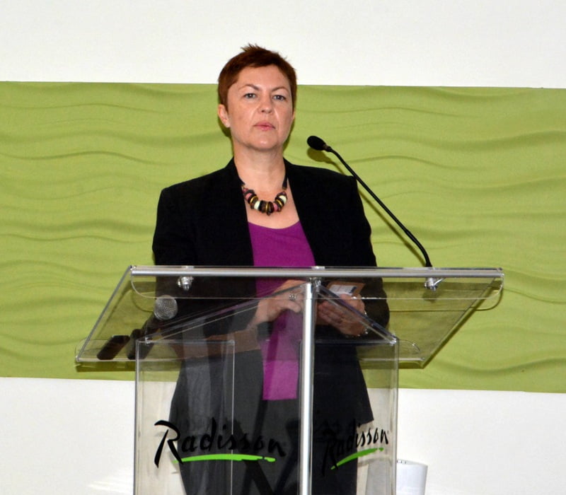 UK funds CDEMA After Action Review and Response workshop | The Bajan ...