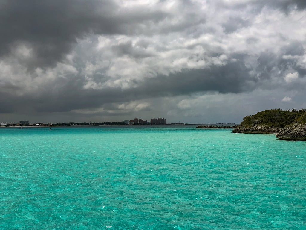 Focusing on the Wildlife, Environment & Marine Biodiversity of the ...