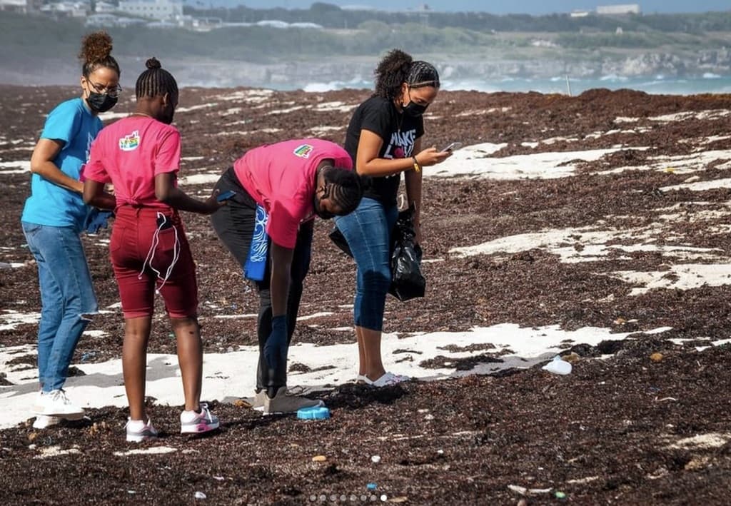 Don’t Waste Barbados Student Anti Littering Student Programme Deemed a ...