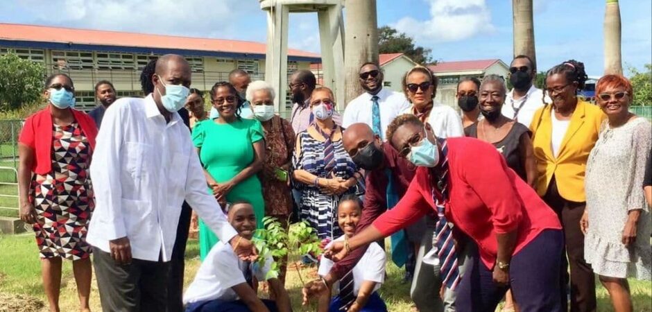 Past and present HC & QC students plant trees with the National ...