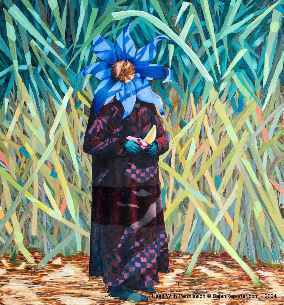 The Packaging Show Now Open For Viewing! | The Bajan Reporter